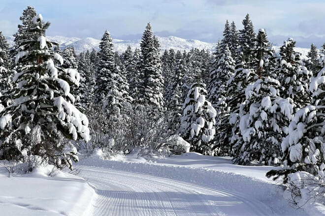 Bear Basin Nordic Center
