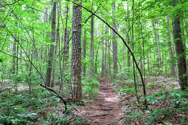 Birkhead Mountains Wilderness