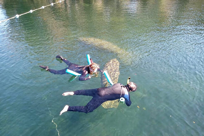 Blue Heaven River Tours