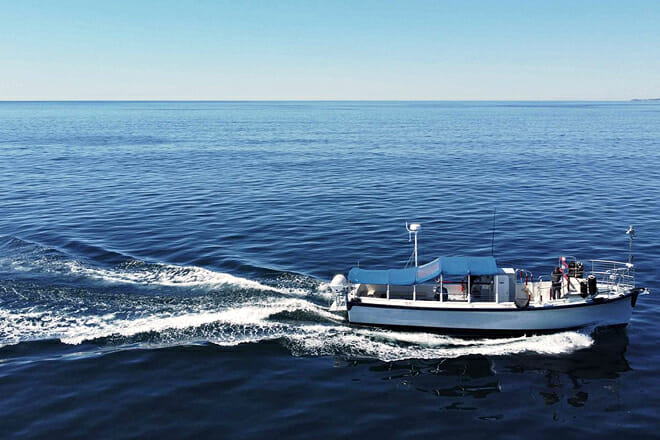 California Dream Tours