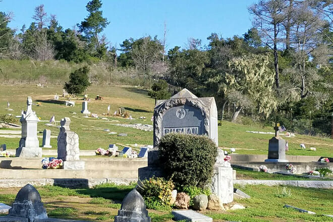 Cambria Cemetery