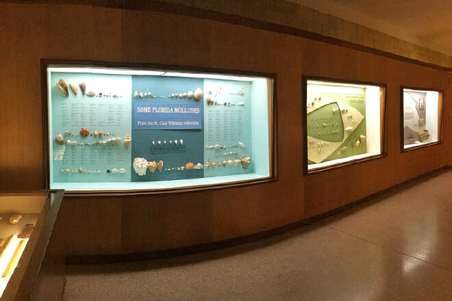 Cedar Key Museum State Park