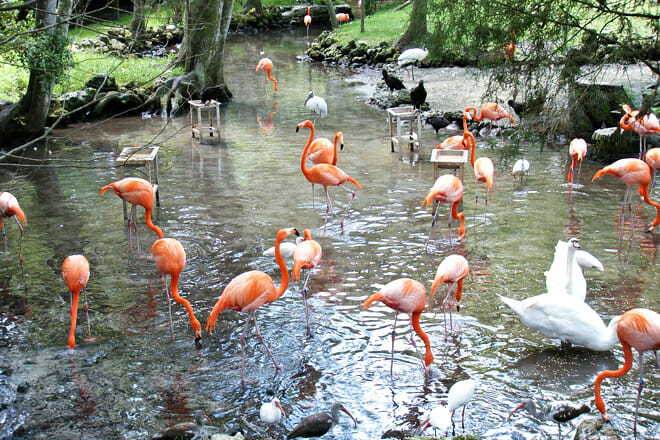 Cedar Keys National Wildlife Refuge