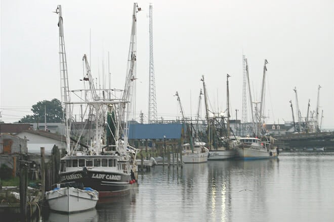 chincoteague, virginia