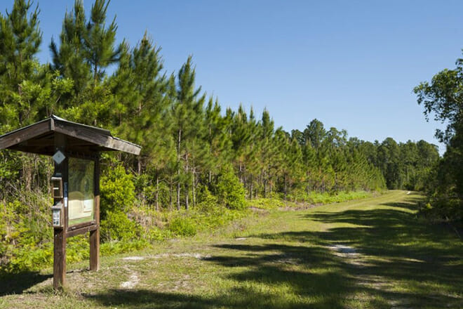 Clark Bay Conservation Area