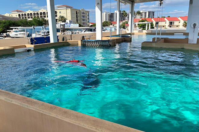 Clearwater Marine Aquarium