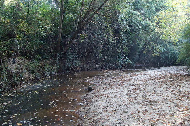 Clyde Shepherd Nature Preserve