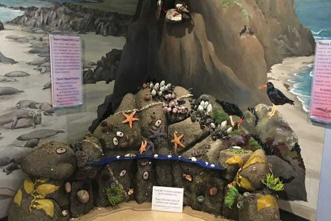Coastal Discovery Centre