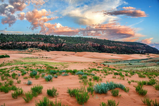 Coral Pink Sand Dunes State Park