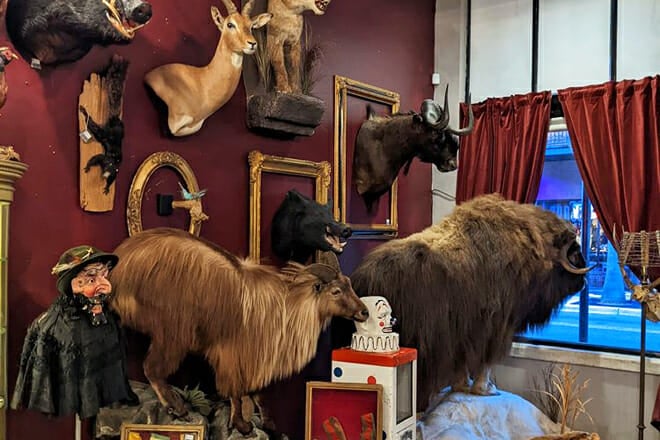 Dysfunctional Grace Art Co.