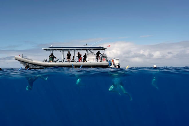 Eco-Friendly Snorkeling Experience