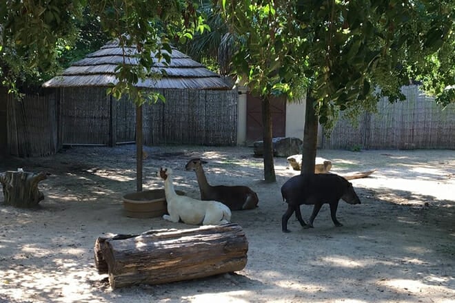 Hattiesburg Zoo (AKA Kamper Park Zoo)