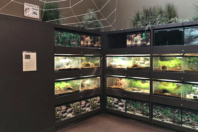 Insectropolis (AKA Bugseum of New Jersey)