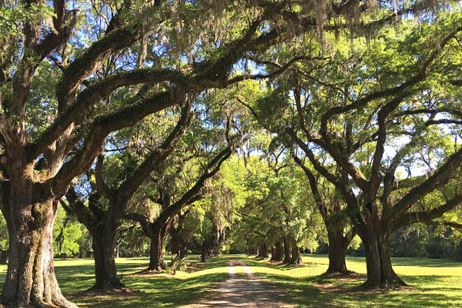 Laurel Hill County Park