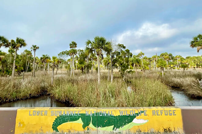 Lower Suwannee National Wildlife Refuge