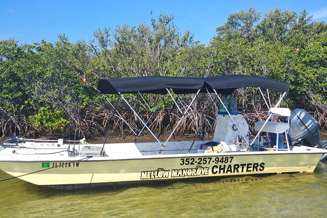 Mellow Mangrove Charters