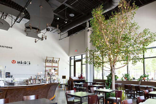 MidiCi The Neapolitan Pizza Company