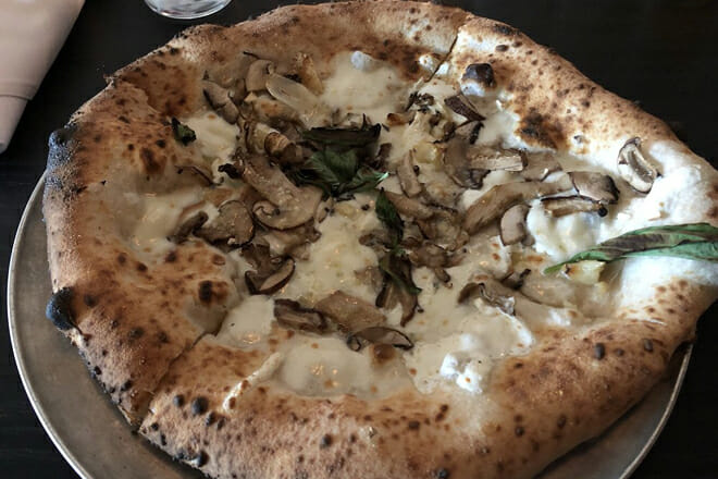 Mission Pizza Napoletana — North Carolina
