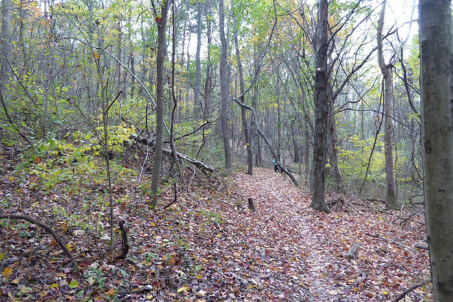 Montgomery Hall Park