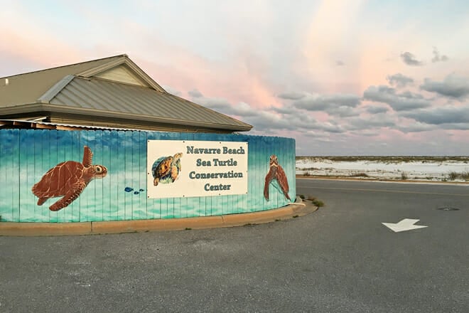 Navarre Beach Sea Turtle Conservation Center