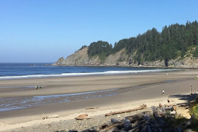 Oswald West State Park