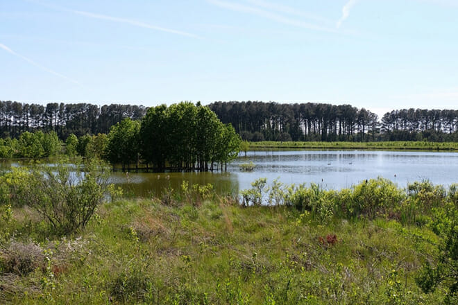 Pickering Creek Audubon Center