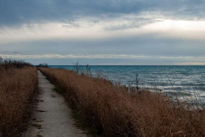 Port Washington Avian Sanctuary