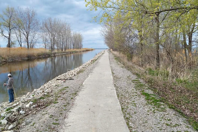 Quanicassee Wildlife Area