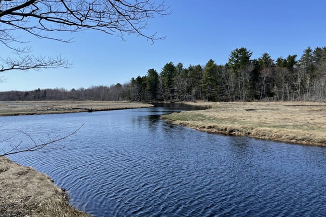 Rachel Carson National Wildlife Refuge