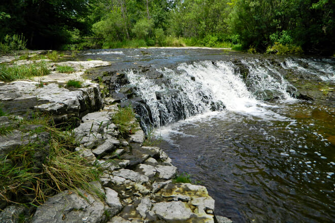 Sauk Creek Nature Preserve