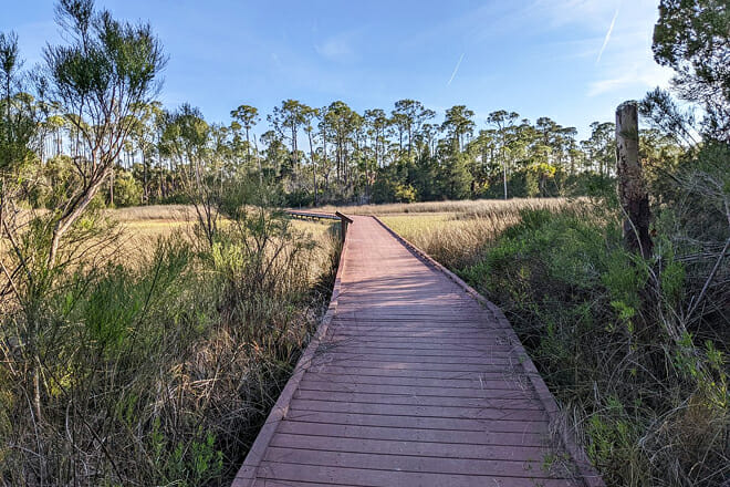 Shell Mound County Park
