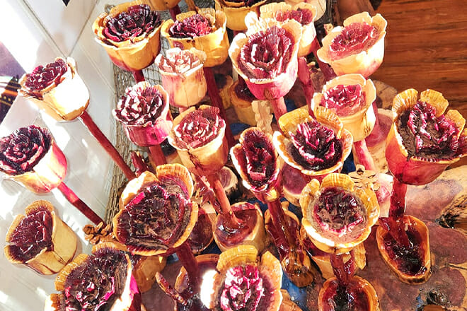 Turtle Trail Art Gallery