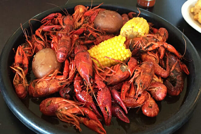 Boo Rays of New Orleans- Boat Club