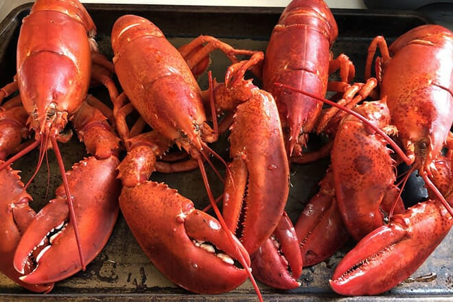 Geno's Chowder & Sandwich Shop