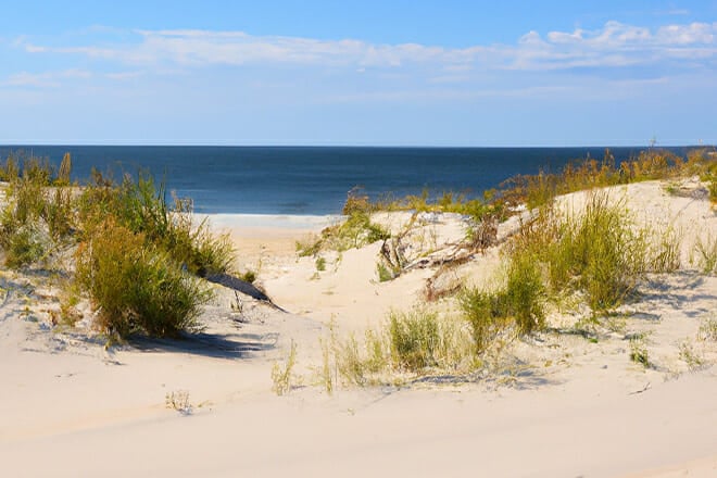 Sedge Island, New Jersey