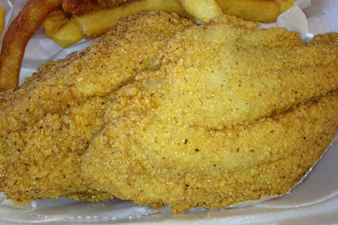 Sharks Fish and Chicken