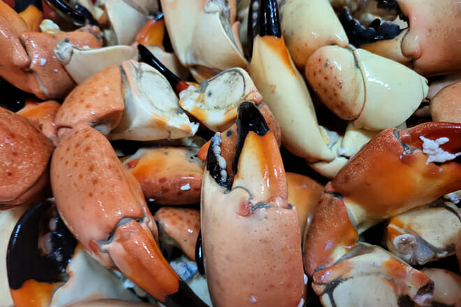 Skip One 41 Seafood Restaurant