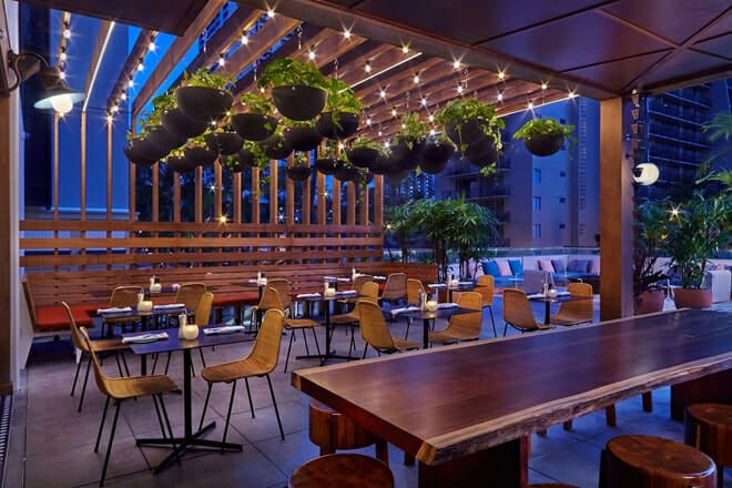 The Laylow, Autograph Collection