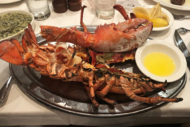 The Palm San Antonio