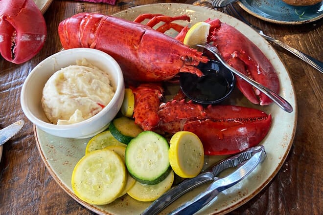 The Shark on the Harbor