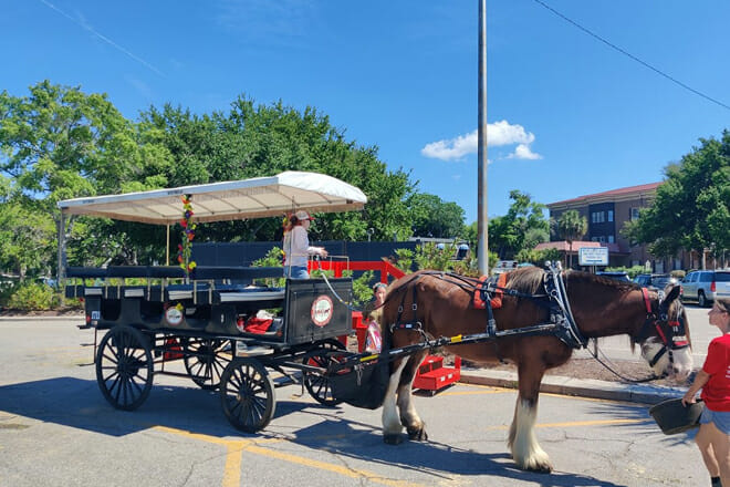 Beaufort’s Horse & Carriage History Tour
