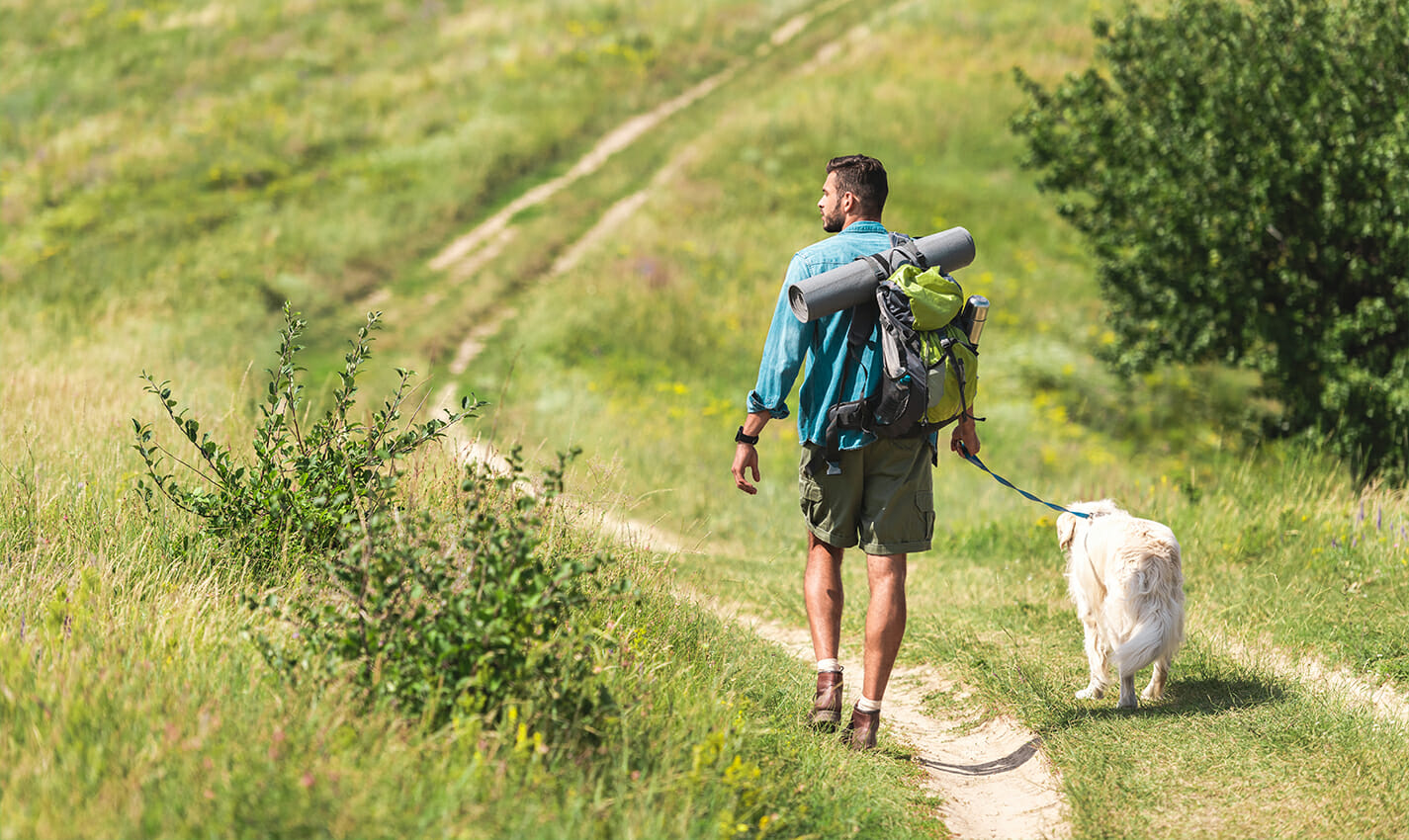 best hikes near las vegas travel photo