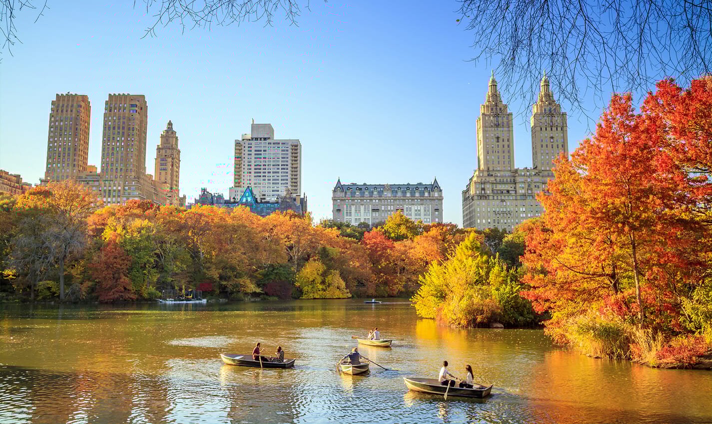 best things to do in central park travel photo
