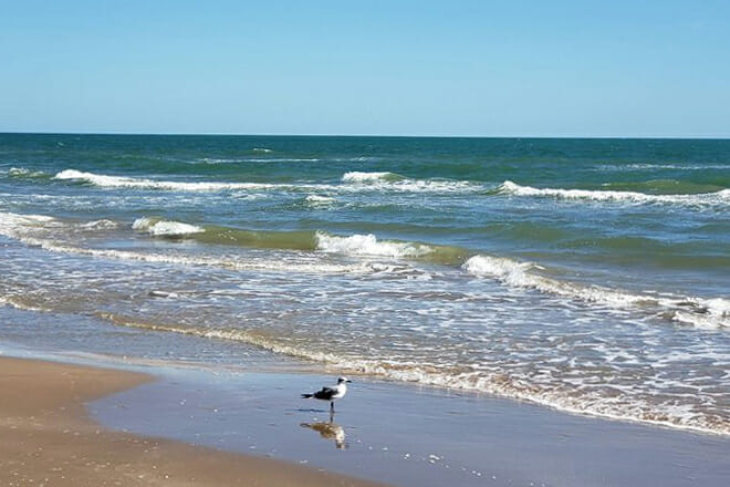 boca chica state park &mdash; brownsville