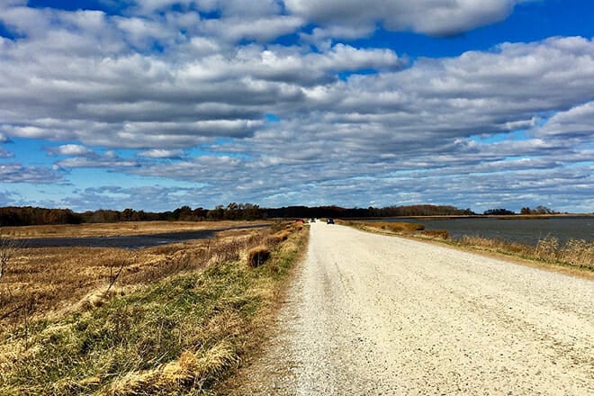 Bombay Hook National Wildlife Refuge &mdash; Smyrna