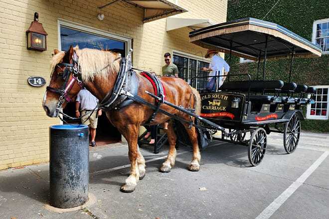 charlestons old south carriage historic horse carriage tour &mdash; charleston 1