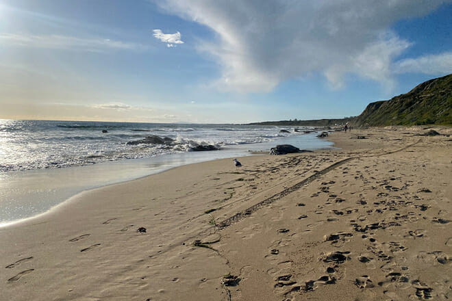 crystal cove state park