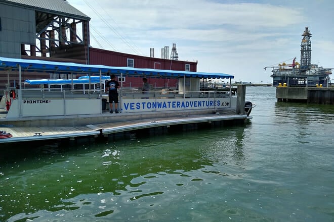 Dolphin Sightseeing Tour