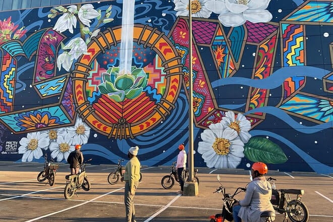 Downtown Dallas Sightseeing & History 2 Hour E-Bike Tour