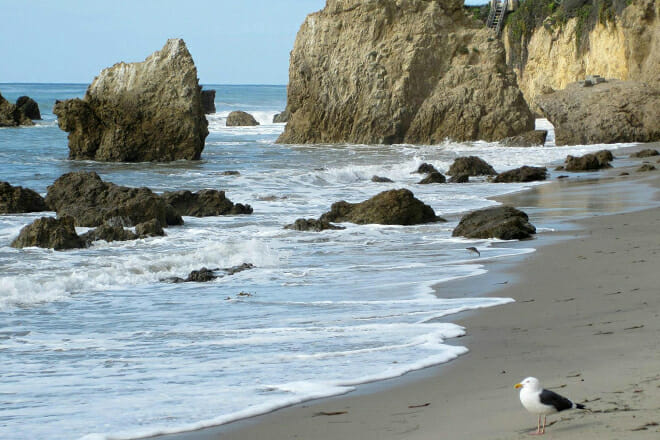 el matador state beach